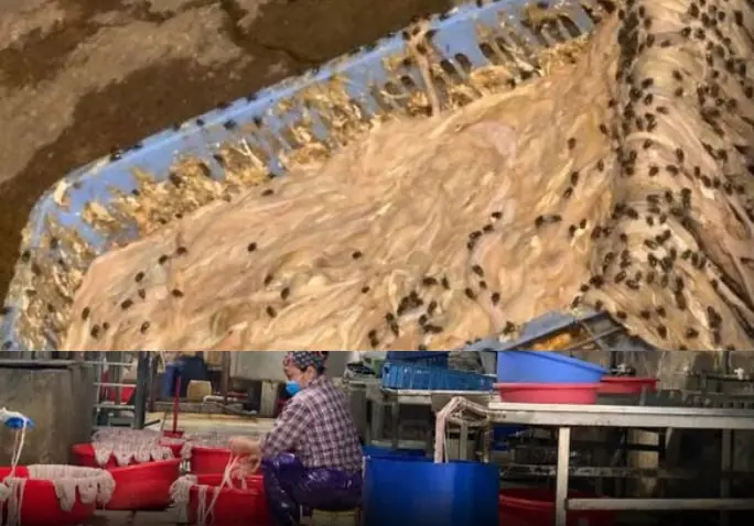 วิธีการปรุงอาหารจานโปรดของเราที่ร้านอาหารแห่งนี้ดูเหมือนฉากในสารคดีเลย ...